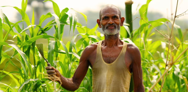 गरीब किसान की कहानी (Garib Kisan Ki Kahani) | KidzNCrew