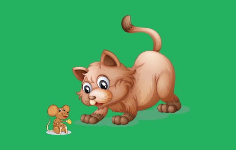 The Cat and Mouse Story | KidzNCrew